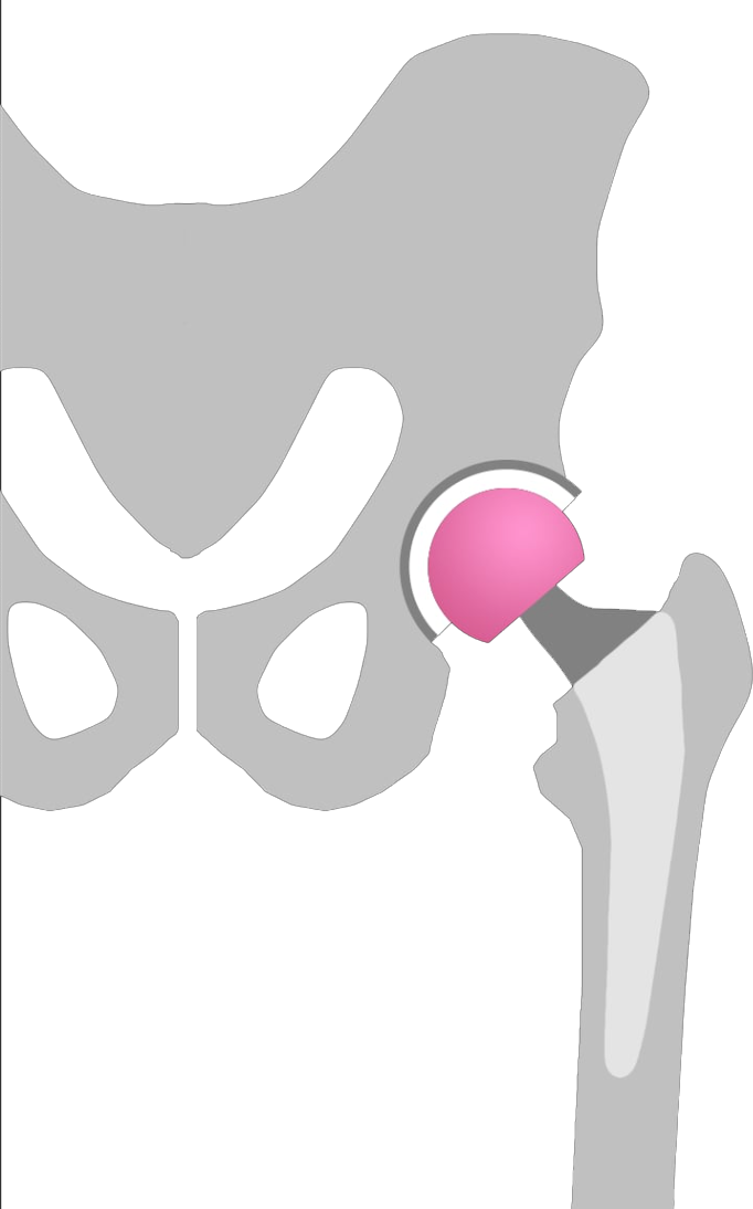 Home - Joseph Nelson MD